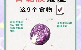 胃不好吃什么养胃又补胃_胃疼吃什么食物好得快