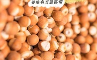 芡实怎么吃祛湿_芡实祛湿的正确吃法