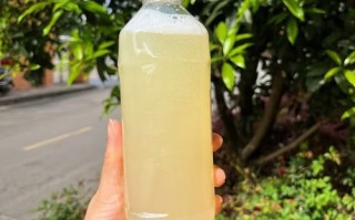 贵州菜豆腐怎么做_贵州菜豆腐正宗做法