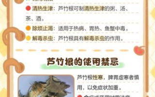 芦根的功效与作用禁忌_孕妇能吃吗