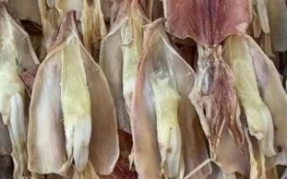 小鱿鱼干怎么泡发_家常做法大全