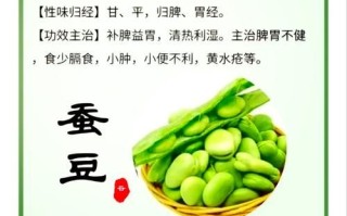 蚕豆的功效与作用及食用方法_蚕豆怎么吃最健康