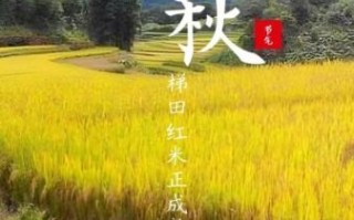 立秋景色大图怎么拍_立秋摄影构图技巧