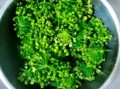 腌辣韭菜花怎么做_腌辣韭菜花能放多久