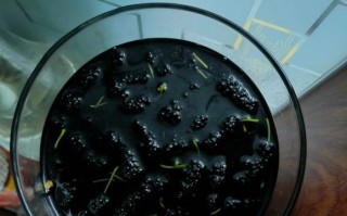 自酿桑葚酒的做法_桑葚酒发酵多久能喝