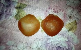 真正的鱼宝长什么样_鱼宝图片真假辨别