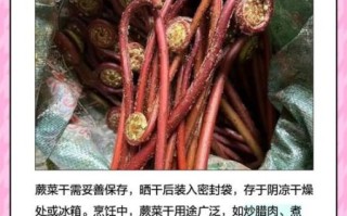 蕨菜干多少钱一斤_蕨菜干价格受哪些因素影响