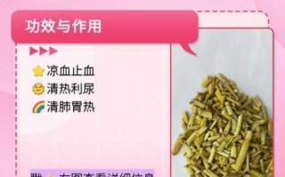 白茅根副作用有哪些_长期喝白茅根水安全吗
