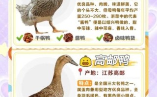 鸭肉的营养价值_鸭肉适合什么人吃