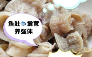 鱼肚怎么炖治疗胃病_胃不好能吃鱼肚吗