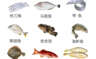 常见海鱼有哪些_45种海鱼大全及选购技巧