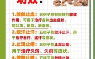 五倍子功效与作用_五倍子怎么吃