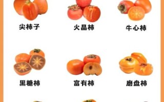 柿子营养价值与功效作用_吃柿子有哪些禁忌