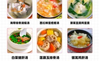 冬天喝什么汤最养生_冬季养生汤的做法