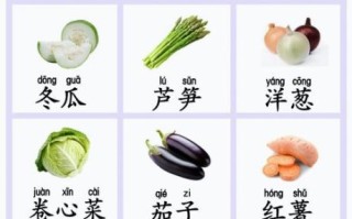 蔬菜大全名字带拼音_蔬菜名称拼音怎么写