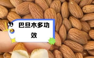 巴旦木是桃仁还是杏仁_区别与真相