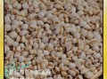 薏苡仁是薏米吗_薏苡仁和薏米区别