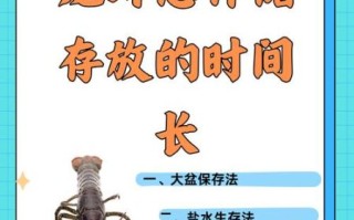 龙虾怎么养_龙虾养殖技术要点