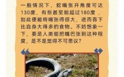 蛇活久了为什么会被雷劈_民间传说科学解释