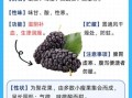 桑葚果的功效与作用有哪些_桑葚果怎么吃最养生