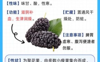 桑葚果的功效与作用有哪些_桑葚果怎么吃最养生