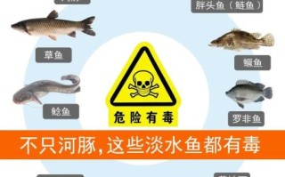 河豚怎么处理才安全_河豚毒素怎么去除