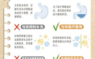 补锌的好处有哪些_缺锌吃什么补得快