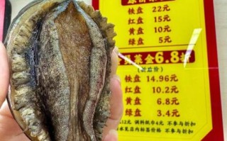 鲍鱼多少钱一个_新鲜鲍鱼价格行情