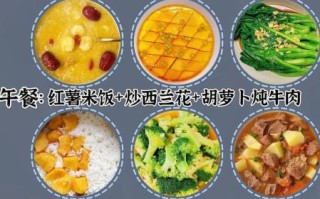 儿童每日食谱怎么搭配_儿童每日食谱吃什么好