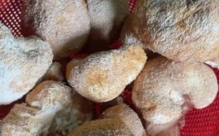 猴头菇多少钱一斤_猴头菇价格为什么差距大