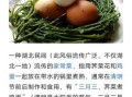 南京荠菜花煮鸡蛋的做法_荠菜花煮鸡蛋的功效