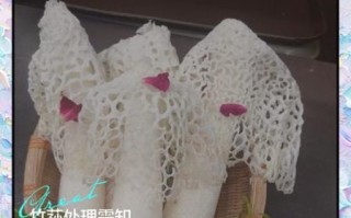 竹笙怎么处理_竹笙泡发多久才软
