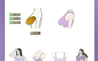 木瓜胸是什么样子_木瓜胸长什么样