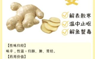 怎么煮姜汤_姜汤的做法步骤