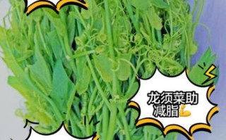 龙须菜的热量是多少_龙须菜减肥能吃吗 龙须菜的热量是多少_龙须菜减肥能吃吗