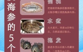 干海参怎么泡发_干海参怎么吃最营养