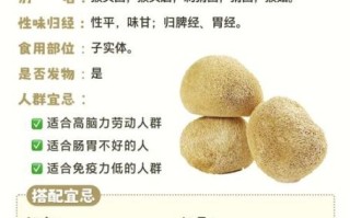 新鲜的猴头菇怎么做才好吃_猴头菇的家常做法大全