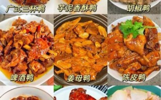 鸭肉怎么做好吃又简单_家常鸭肉做法
