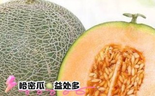 吃哈密瓜会上火吗_哈密瓜的功效与作用