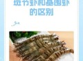 斑节虾是河虾还是海虾_斑节虾和基围虾区别