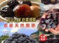 黑枣什么时候吃最好_黑枣一天吃几个合适