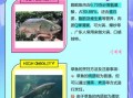 鲩鱼和草鱼一样吗_鲩鱼是不是草鱼