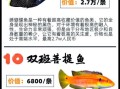 世界十大最贵的鱼多少钱一条_为什么这么贵