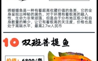 世界十大最贵的鱼多少钱一条_为什么这么贵