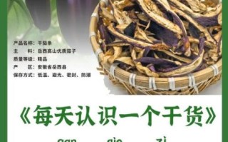 茄子怎么晒干好吃_茄子干怎么做才香