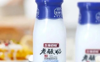 老酸奶哪个牌子好_老酸奶品牌推荐