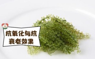 海藻糖对皮肤的作用_海藻糖修复屏障吗