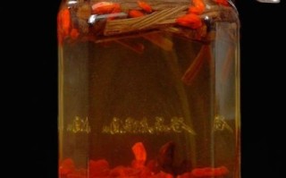 驴鞭泡酒的功效与作用_驴鞭泡酒多久可以喝