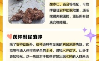 茯神的功效与作用是什么_茯神图片长什么样