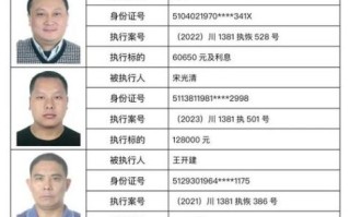 失信人员黑名单查询_如何查询失信名单